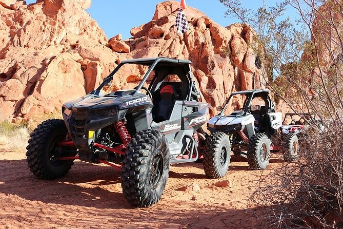 Single Seater UTV Valley of Fire Tour Most Scenic ATV Las Vegas - The Sum Up