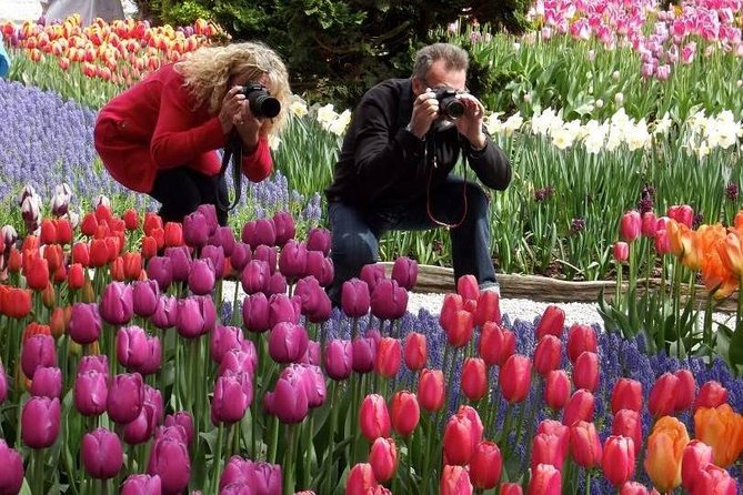Skagit Valley Tulip Festival Day Tour from Seattle - Authentic Insights From Reviewers