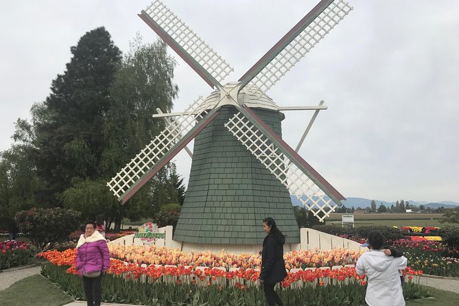 Skagit Valley Tulip Festival Day Tour from Seattle - The Sum Up: Is This Tour Right for You?
