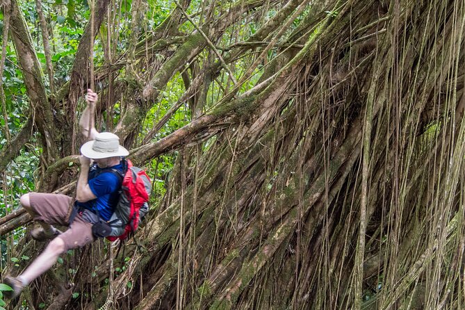 Skip the Crowds: Secret Oahu Half Circle Tour with a Local - The Sum Up