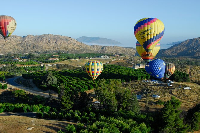 Skyward at Sunrise: A Premiere Temecula Balloon Adventure - The Itinerary Breakdown
