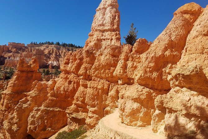 Small Group Bryce Canyon & Zion National Park Tour from Las Vegas - The Itinerary: What to Expect from Start to Finish