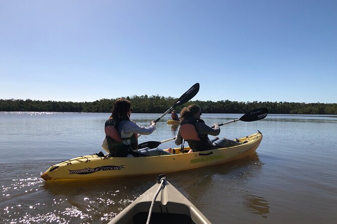 Small-Group Everglades Boating Kayaking and Walking Eco Tour - Final Thoughts: Is It Worth It?