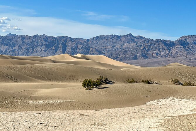 Small Group Family Tour at the Death Valley from Las Vegas - Authentic Insights from Reviews