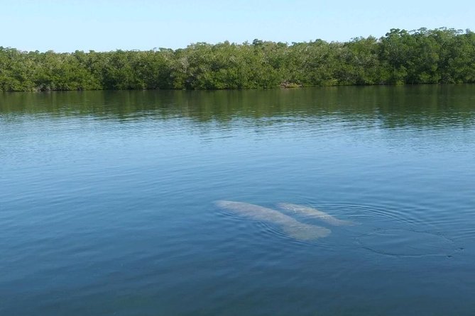 Small Group Florida Keys Eco Tour by Boat