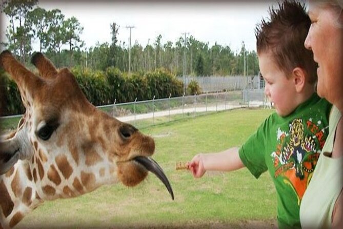 Small Group Fort Lauderdale&Palm Beach Day Tour from Miami FL - An In-Depth Look at the Tour Itinerary