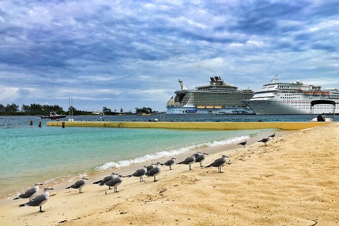 Small Group Fort Lauderdale&Palm Beach Day Tour from Miami FL - Final Thoughts: Is This Tour for You?