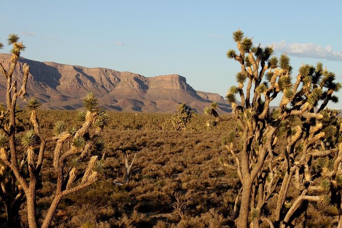 Small Group Grand Canyon, Hoover Dam and 7 Magic Mountains Tour - FAQ