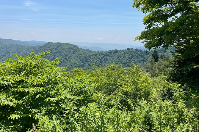Small-Group Jeep Tour of Smoky Mountains Foothills Parkway - Price & Value