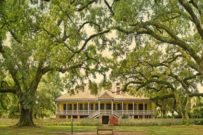 Small-Group Laura and Whitney Plantation Tour from New Orleans - Key Points
