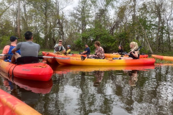 Small-Group Manchac Swamp Kayak Tour
