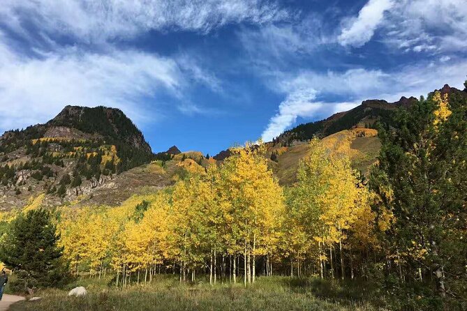 Small Group Mt Rainier National Park Day Tour from Seattle 2CanGo - What’s Included and What to Expect