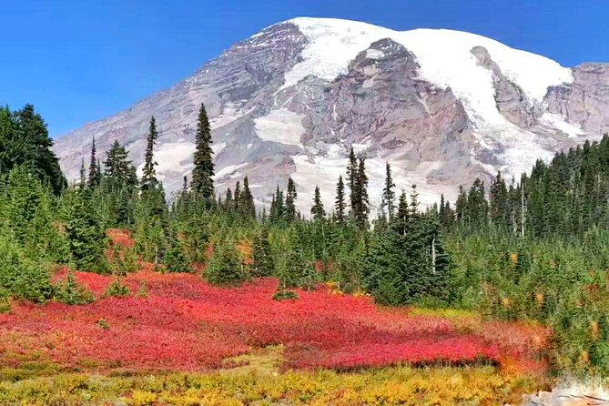 Small Group Mt Rainier National Park Day Tour from Seattle 2CanGo - Final Thoughts