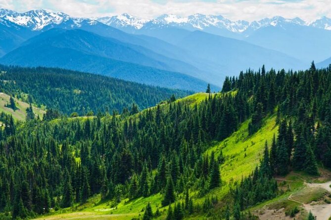 Small Group Olympic National Park Day Tour from Seattle 2CanGo - Discovering the Wonders of Olympic National Park from Seattle: A Practical Guide