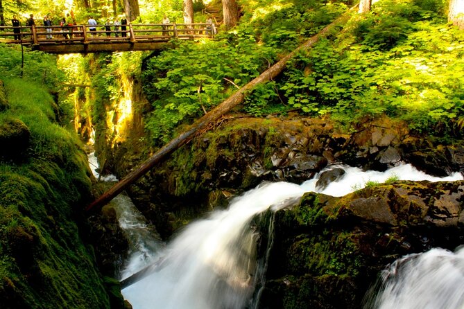Small Group Olympic National Park Day Tour from Seattle 2CanGo - Key Points