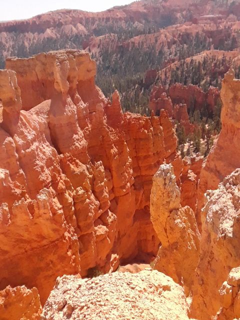 Small Group Tour Zion & Bryce Canyon National from Las Vegas - How the Tour Works: From Vegas to Utah’s Natural Wonders