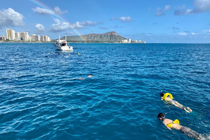 Small Group Turtle Canyon Snorkel in Waikiki - Final Thoughts: Is It Worth It?