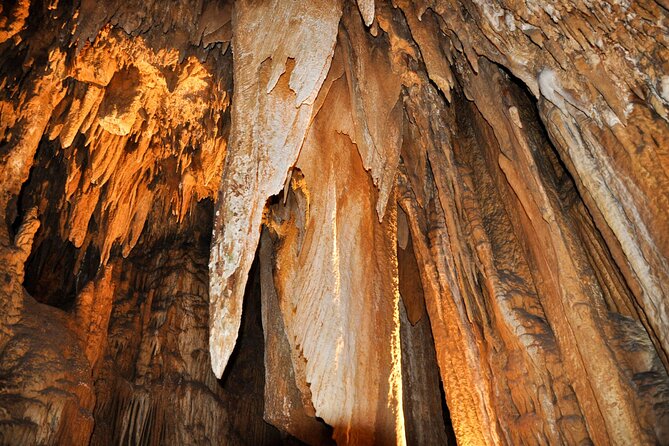 Small Group Washington DC to Shenandoah &Luray Caverns 1-Day Trip - The Value Proposition: Pricing and Extras