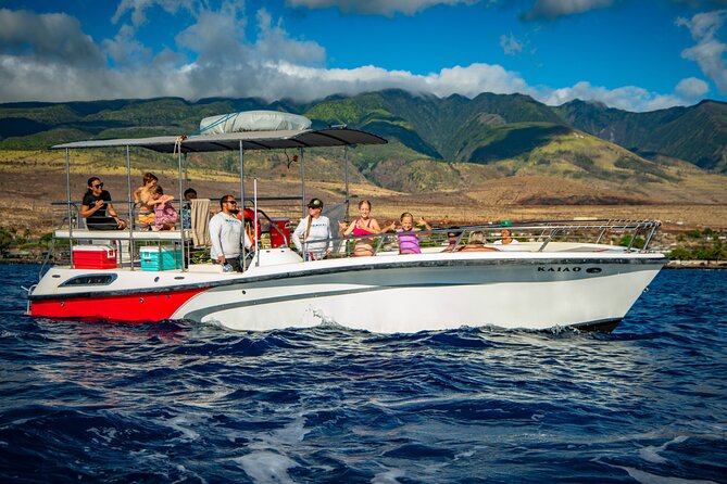 Small-Group Whale Watching Adventure - FAQs