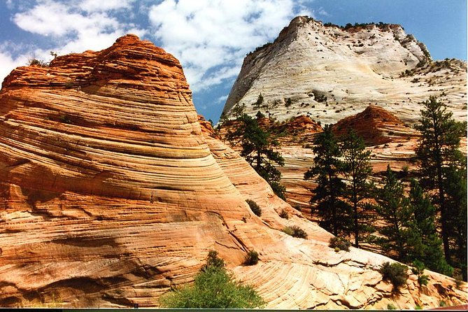Small-Group Zion National Park Day Tour from Las Vegas - The Value of the Tour
