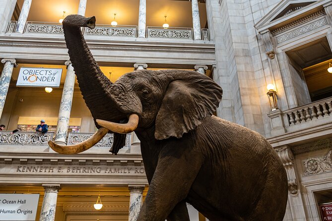 Smithsonian Highlights Walking Tour w/ Reserved Air & Space Entry - An In-Depth Look at the Tour Experience