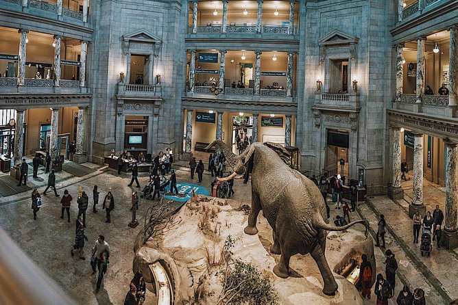 Smithsonian Museum of Natural History - Exclusive Guided Tour - An In-Depth Look at the Smithsonian Natural History Tour