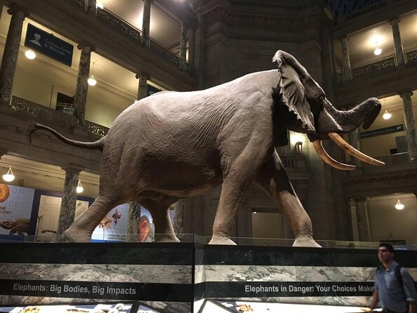 Smithsonian National Museum of Natural History with Guided Tour - Key Points