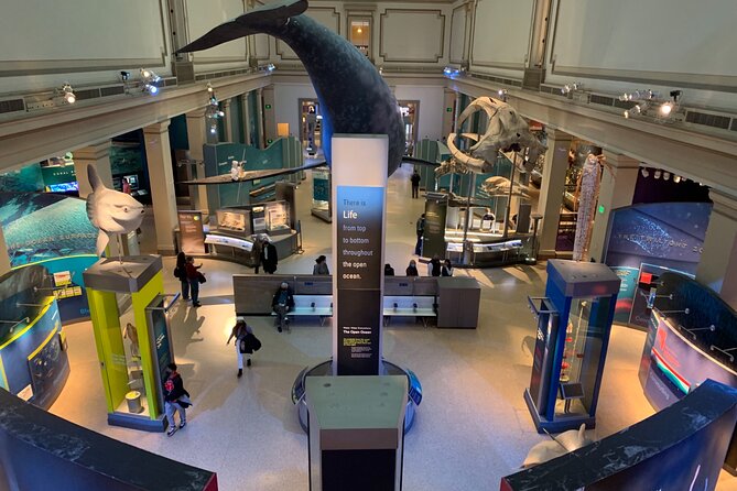 Smithsonian National Museum of Natural History with Guided Tour - The Good and the Not-So-Good