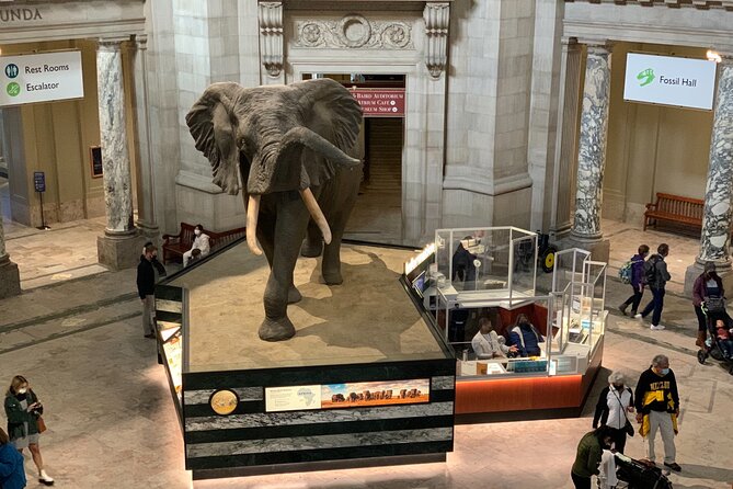 Smithsonian National Museum of Natural History with Guided Tour - FAQ