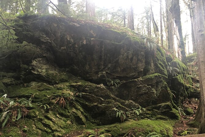 Snoqualmie falls and Twin Falls Hike