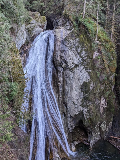 Snoqualmie, Twin Falls & Ancient Forest (Transport Included) - The Sum Up