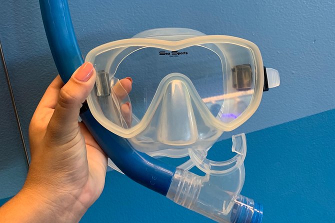 Snorkel Gears near Hanauma Bay - FAQs