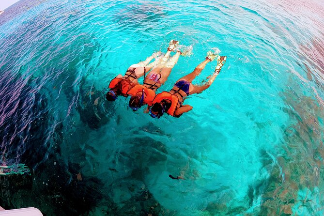 Snorkel Tour - Visit 2 Shallow Reefs John Pennekamp State Park - FAQ