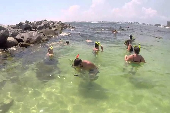 Snorkeling, Shelling & Eco Excursion - FAQ