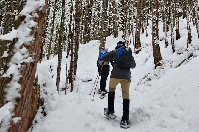 Snowshoeing at Crystal Mountain by Mount Rainier - Key Points