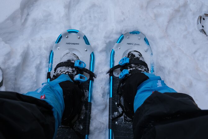 Snowshoeing in Rocky Mountains - Introduction: Discovering the Rocky Mountains in Winter