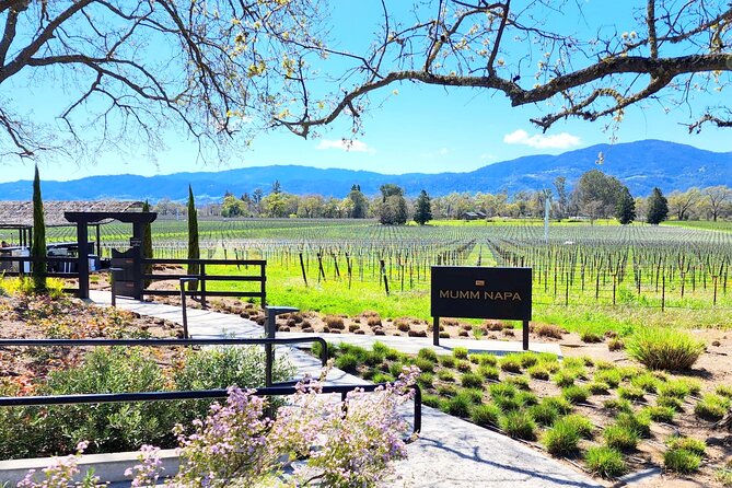 Sonoma and Napa Champagne Wine Private Tour Half Day - Key Points