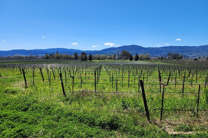 Sonoma and Napa Champagne Wine Private Tour Half Day - Exploring the Itinerary