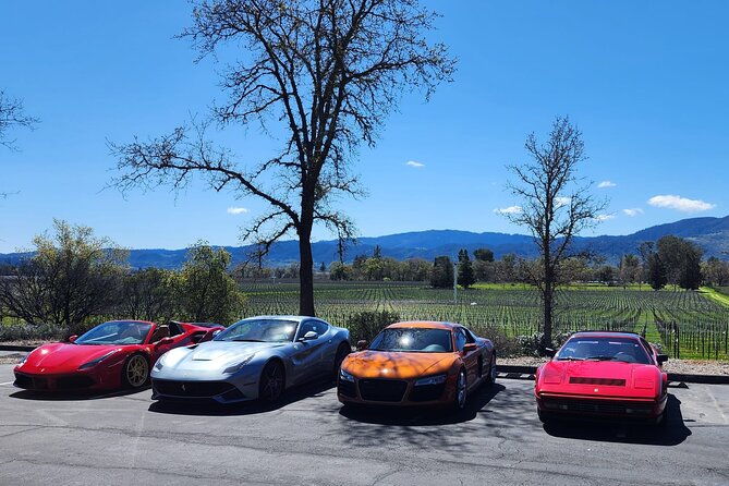 Sonoma and Napa Champagne Wine Private Tour Half Day - What Makes This Tour Stand Out