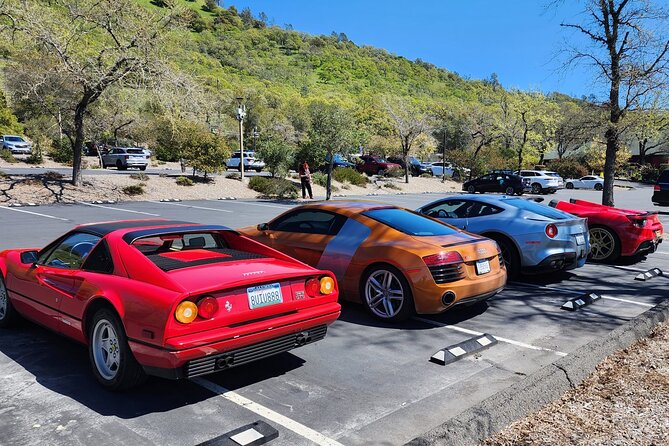 Sonoma and Napa Champagne Wine Private Tour Half Day - Practical Considerations