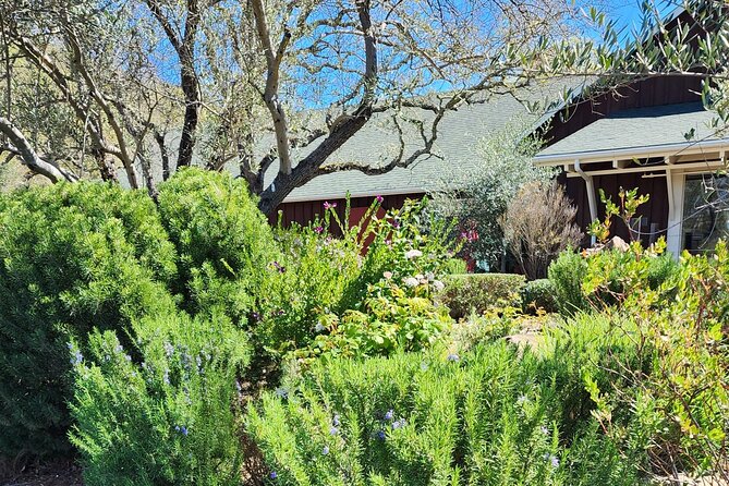 Sonoma and Napa Champagne Wine Private Tour Half Day - Authentic Insights from Reviewers