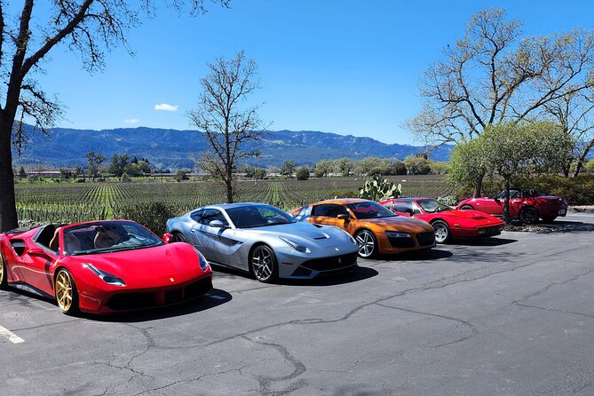 Sonoma and Napa Champagne Wine Private Tour Half Day - Final Thoughts