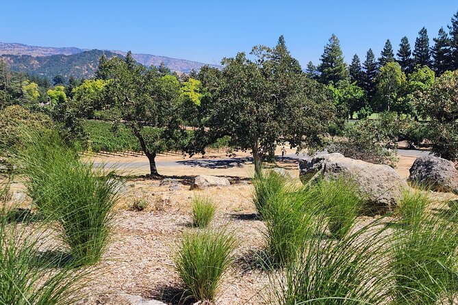 Sonoma and Napa Champagne Wine Private Tour Half Day - Who Should Consider This Tour?