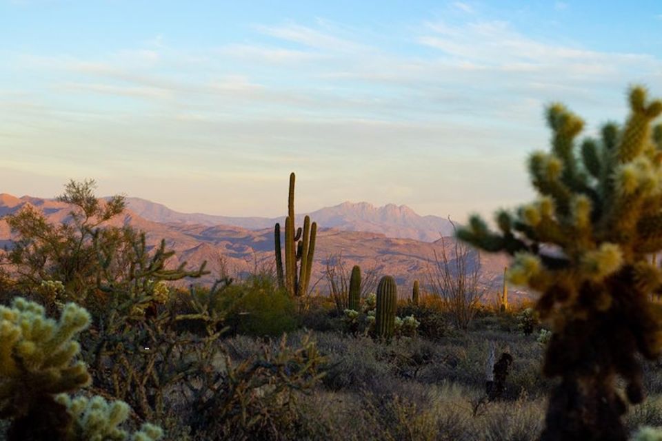 Sonoran Desert: Sunset Jeep Tour with Tonto National Forest - An Experience That Offers More Than Just a View