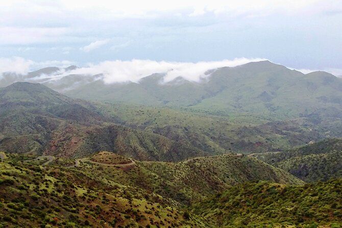 Sonoran Desert To MountainTop Jeep Tour minutes from Scottsdale - Practical Tips and Final Thoughts