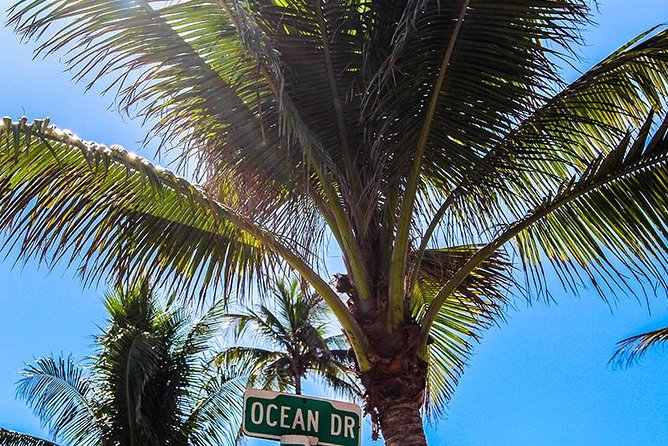 South Beach Golf Cart Tour - Authentic Experiences from Reviewers