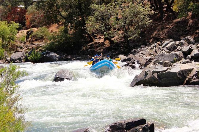 South Fork, American River: Chili Bar (Class III+ Whitewater) - Key Points