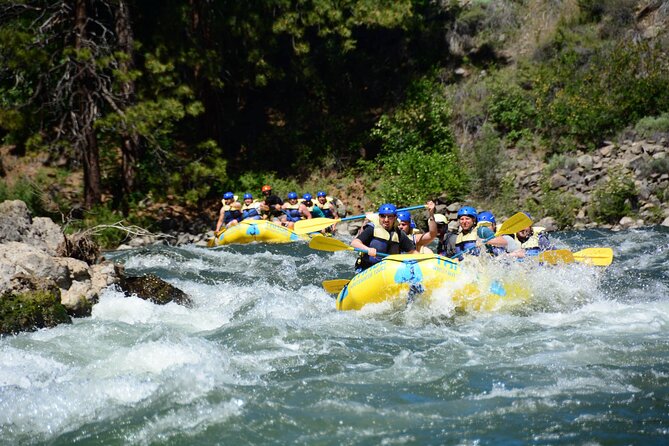 South Fork, American River: Chili Bar (Class III+ Whitewater) - What to Expect