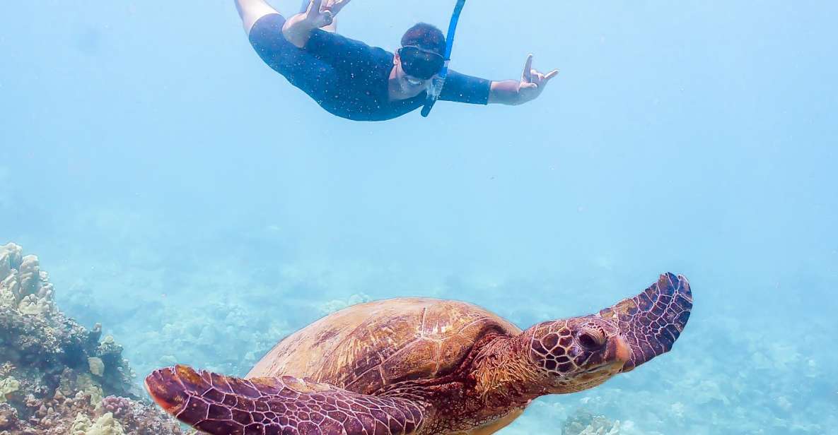 South Maui: Molokini Snorkeling Adventure - South Maui: Molokini Snorkeling Adventure — A Detailed Review