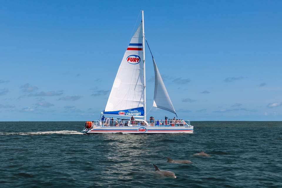 St. Augustine: Dolphin Watching Harbor Tour with Drinks